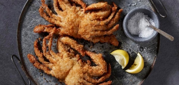 Online Seafood Retailer | Overnight Nationwide Shipping - Harbour House ...